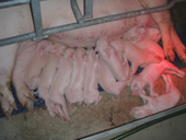 New Page 1 [www.carrsconsulting.com]