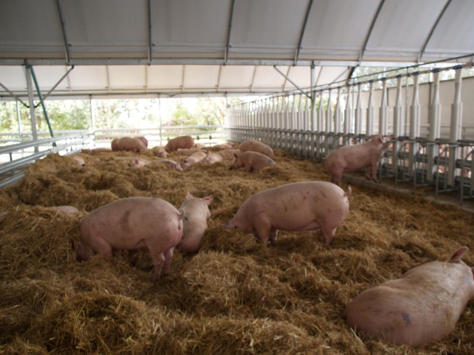 New Page 1 [www.carrsconsulting.com]